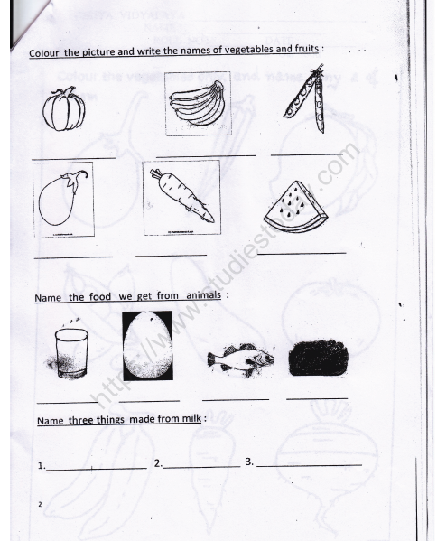 CBSE Class 1 EVS Our Food Worksheet